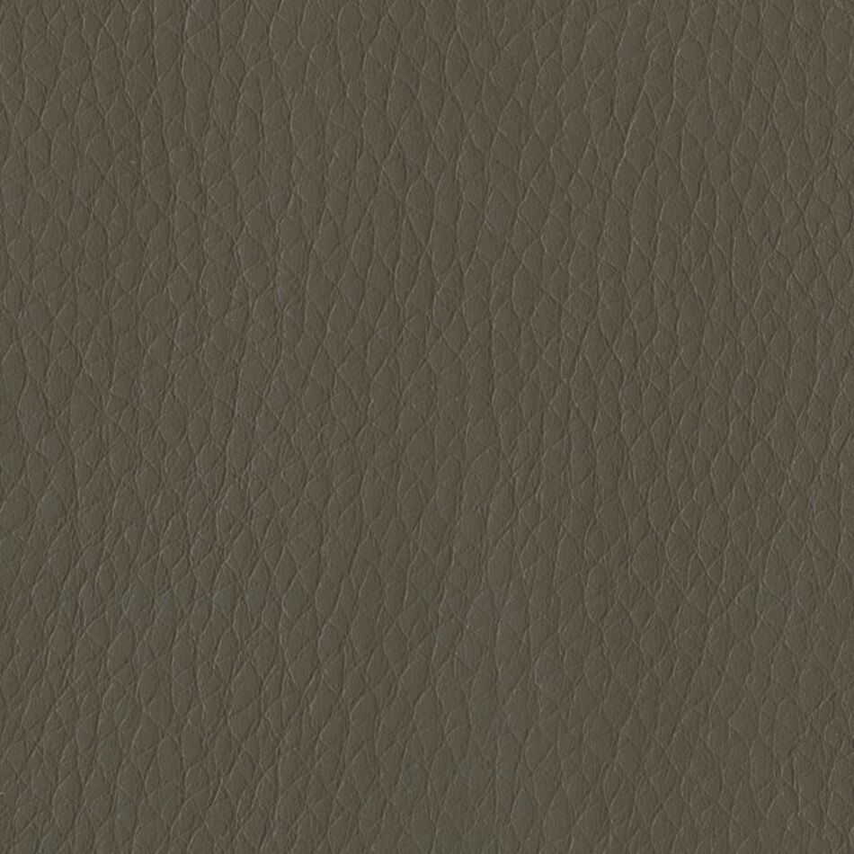 Iron
