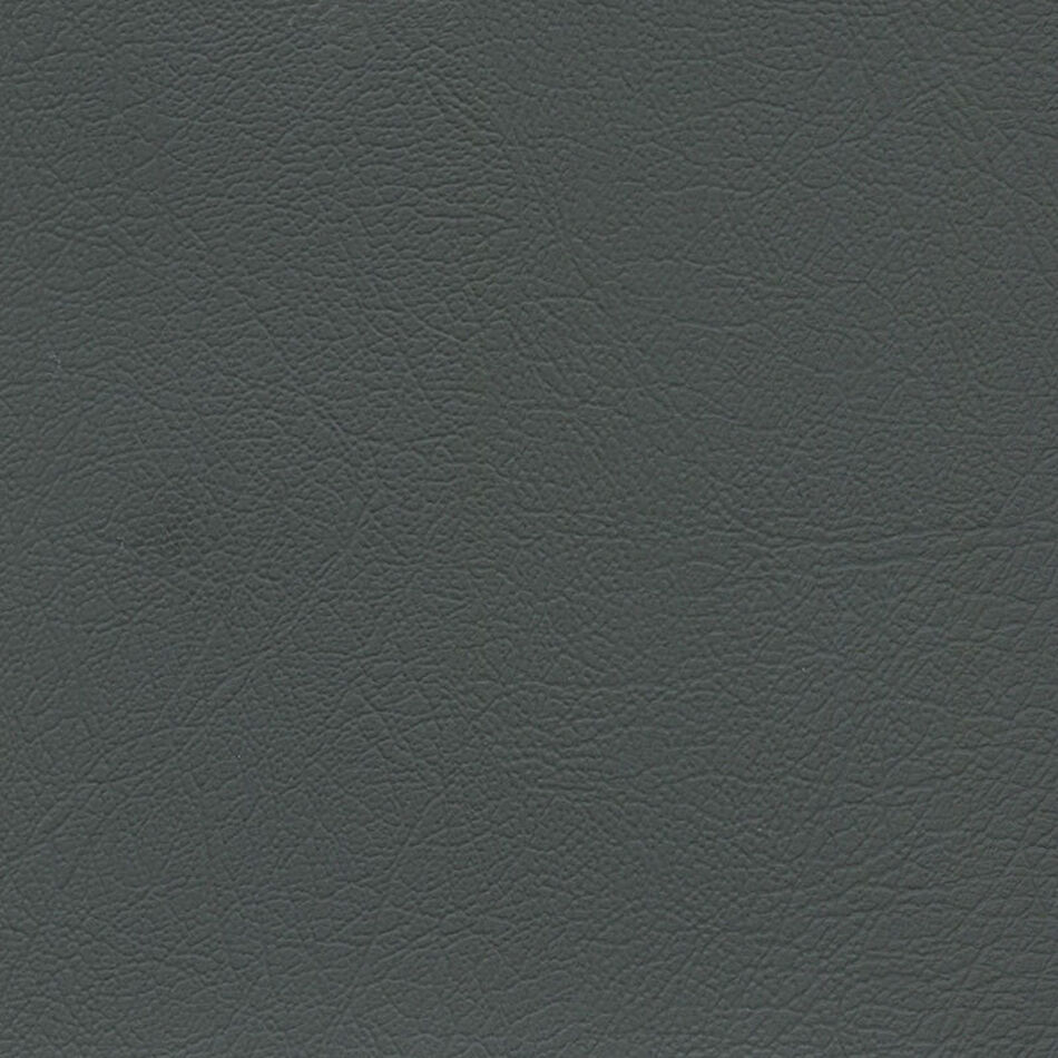 Coal