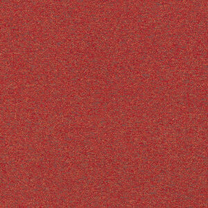 Salsa