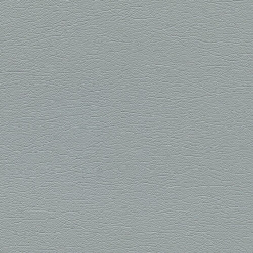 Dove Grey