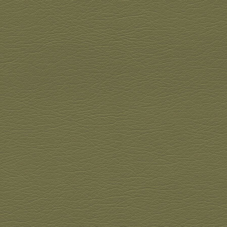 Olive Leaf